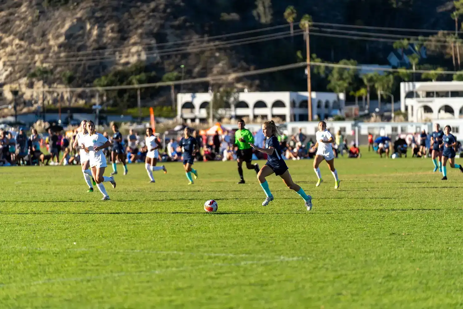 College Sports Player Transfer Service - The Lens